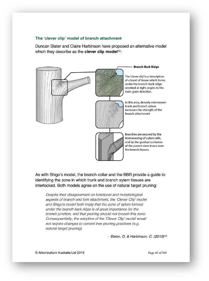 MIS308 Tree Pruning — Arb Supplies